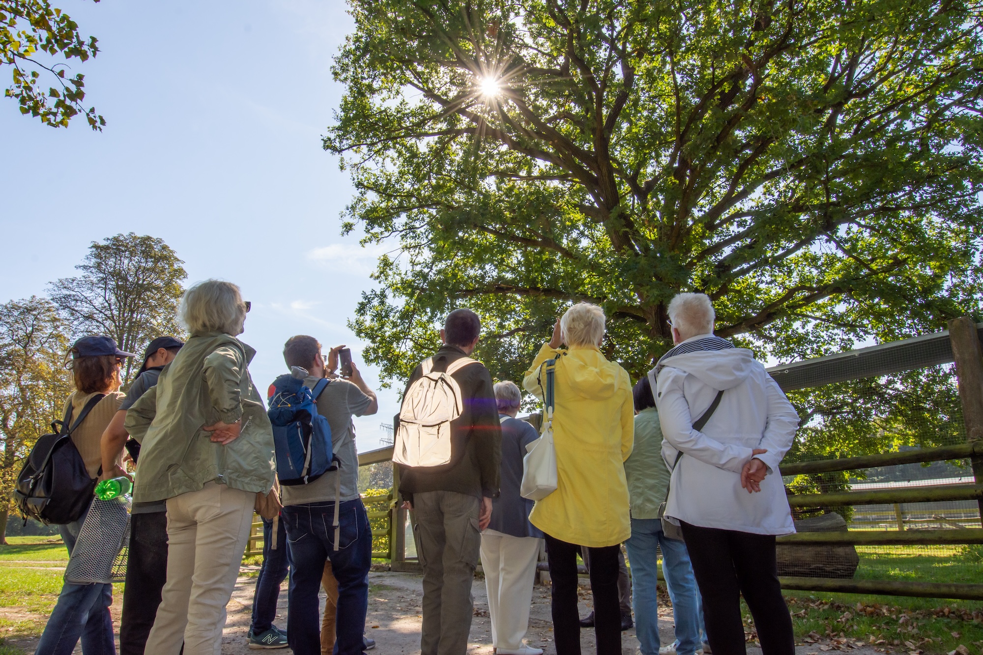 Wildparkführung mit Schauspieler Thorsten Wolf - WBG Kontakt